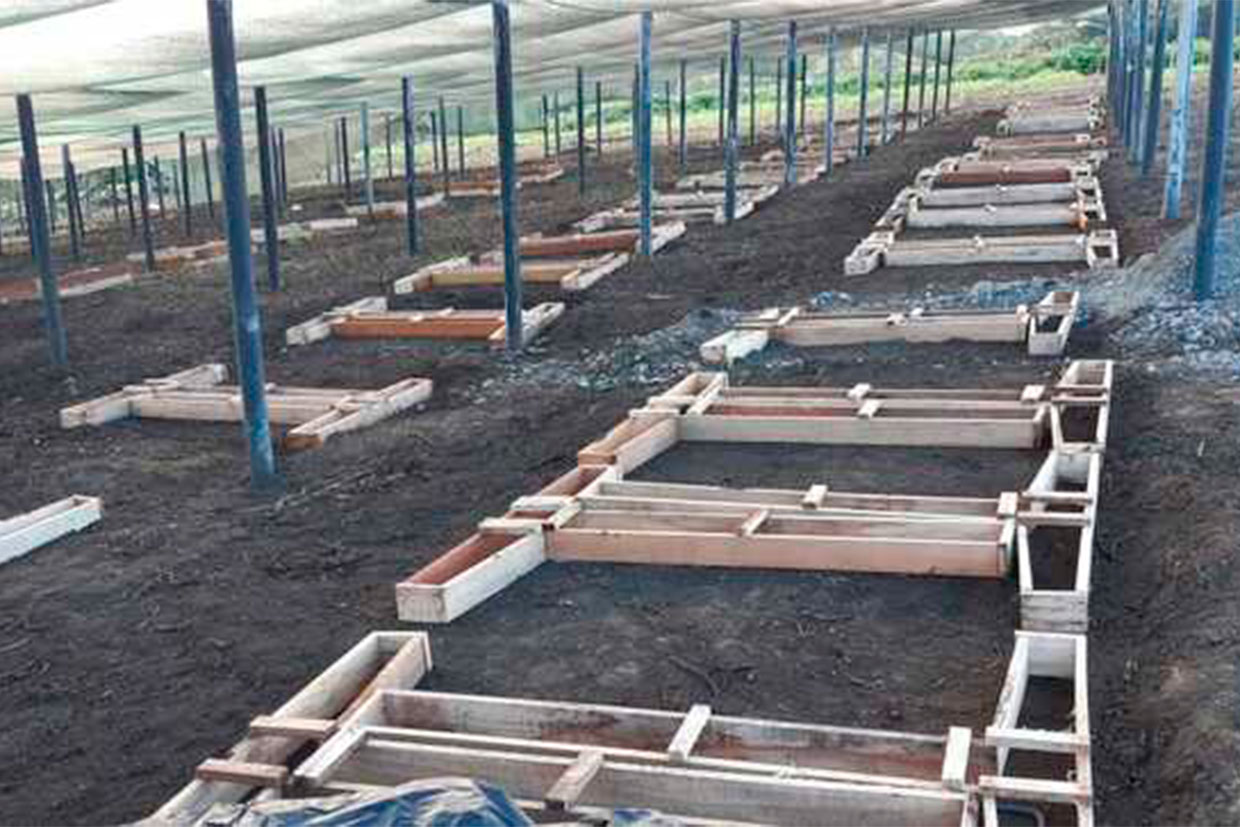 Huánuco: avanza trabajos de construcción de vivero para instalar ...