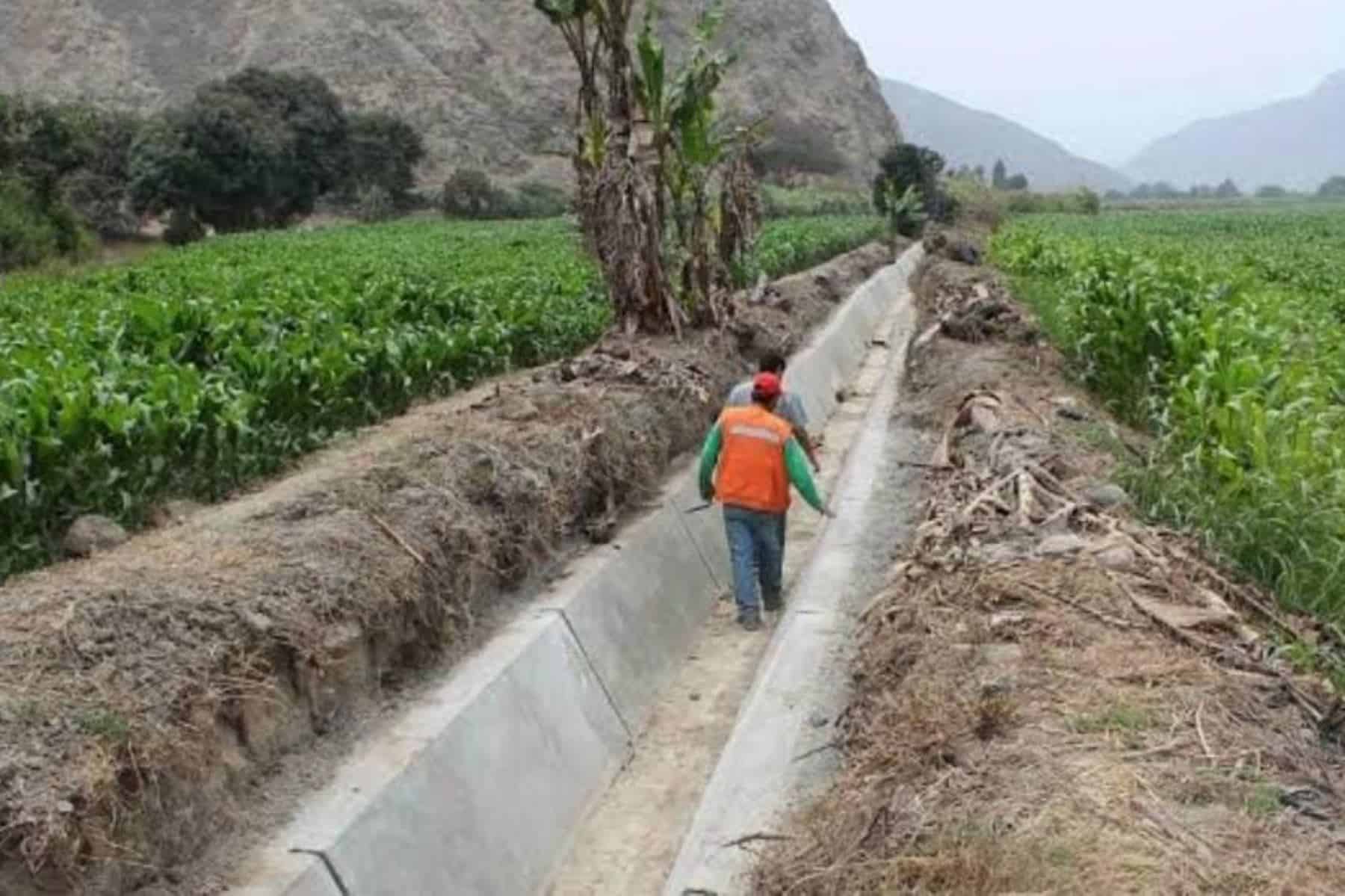 Agricultura destina S/ 275 millones para rehabilitación de canales de ...