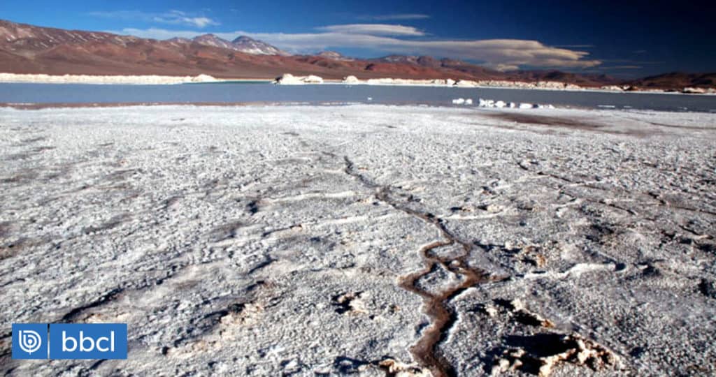 Exploración de litio en salar de Maricunga fue “extraordinariamente ...