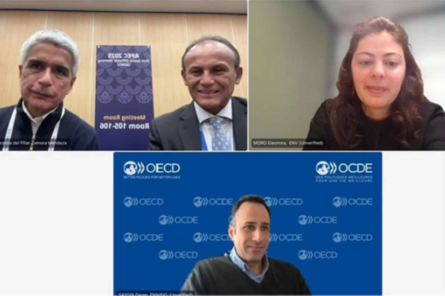 Perú y OCDE impulsarán la transición hacia energías limpias en el Asia ...